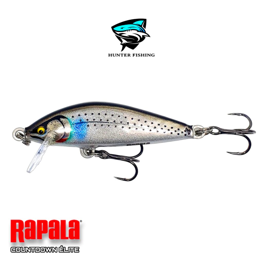 Rapala Countdown Elite (GDIN) – Hunter Fishing Store