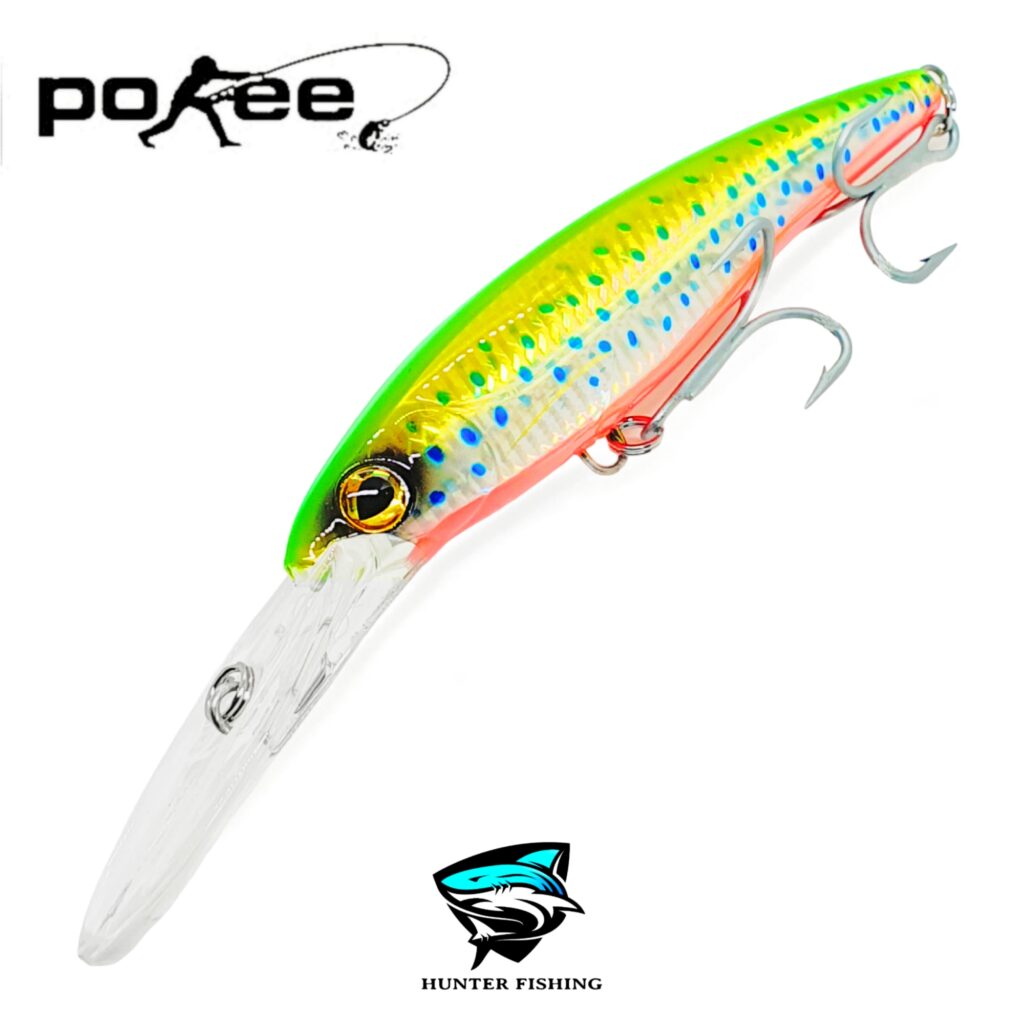 Pokee Embarcado 60g (Trolling) – Hunter Fishing Store